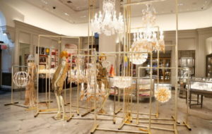 Top 50 Department Stores - Insider Trends