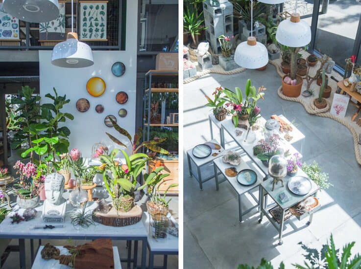 Growing strong: inside FLO Botanical Atelier, the ultimate botanical ...